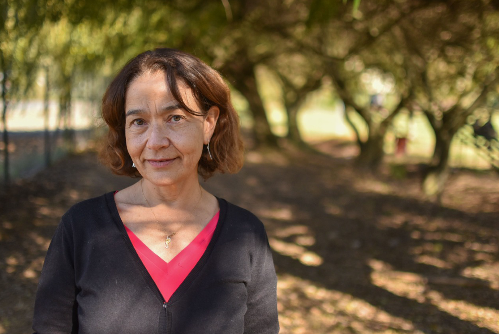 FARCODI - Docente Dra. María Isabel López anuncia candidatura a ...